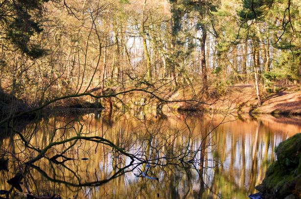 3 Social Issues Facing Millennials and Future Generations